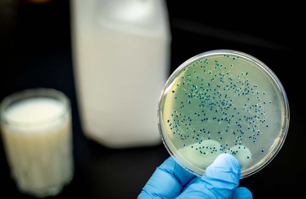 Ce este bruceloza, noua epidemie care a izbucnit în China