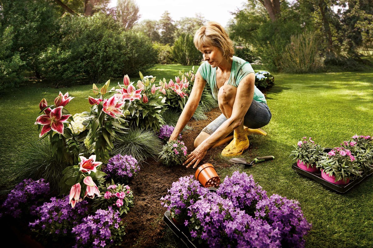 7 plante care rezistă la secetă. Dau culoare locului și sunt cele mai ...